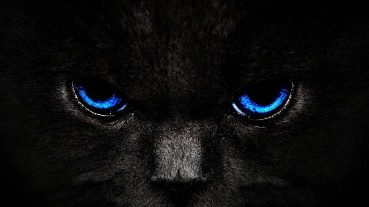 Dark HD Backgrounds - PixelsTalk