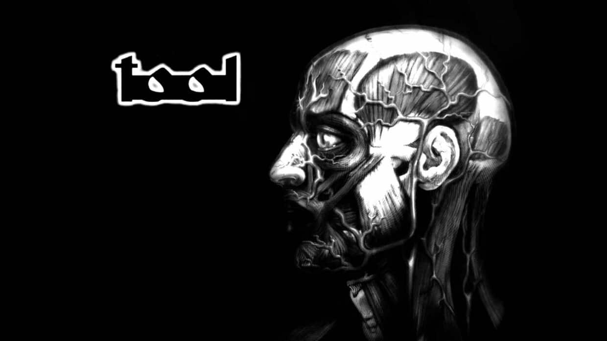 Tool Wallpapers HD - PixelsTalk