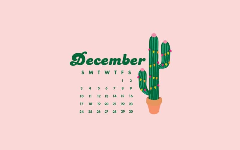 Cute Cactus Wallpapers Computer - PixelsTalk