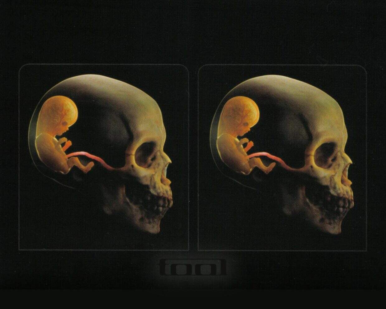 Tool Wallpapers HD - PixelsTalk