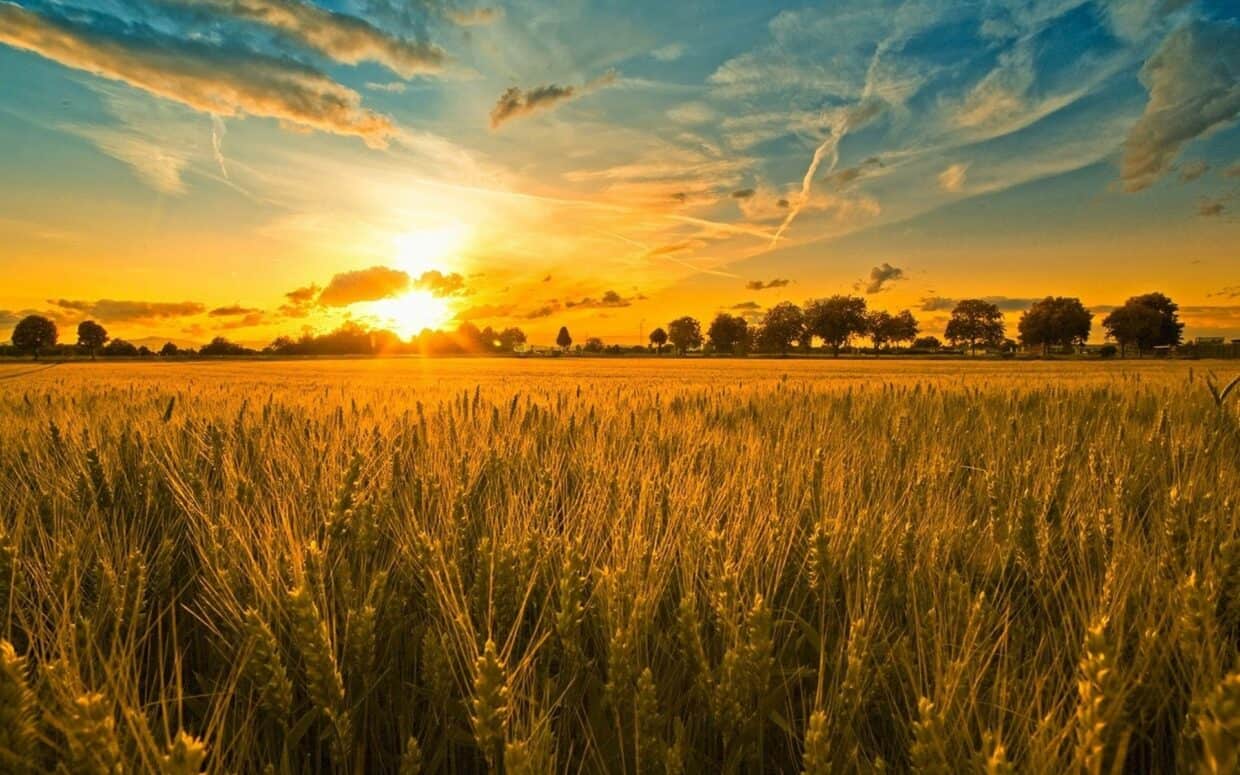 Farm HD Wallpapers High Resolution - PixelsTalk
