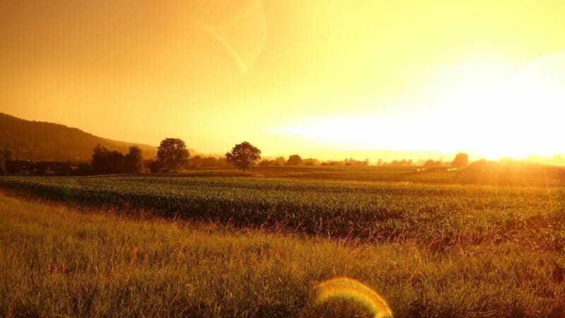 Farm HD Wallpapers High Resolution - PixelsTalk