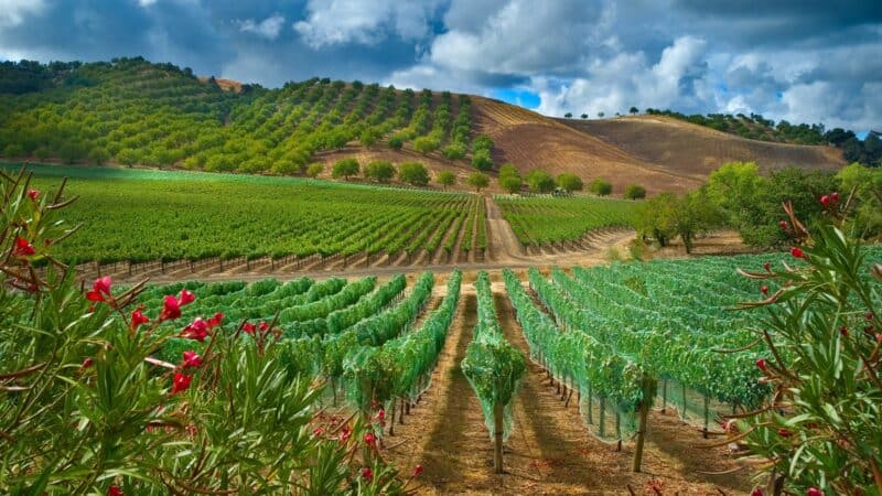 Farm HD Wallpapers High Resolution - PixelsTalk