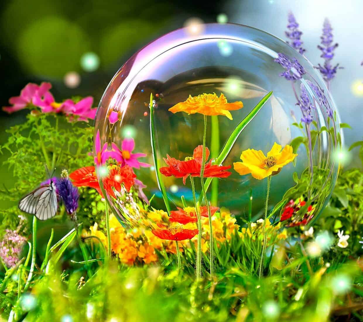 Cute Live Wallpapers HD - PixelsTalk