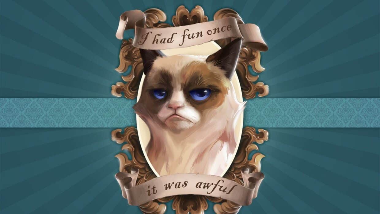 Grumpy Cat HD Wallpapers - PixelsTalk