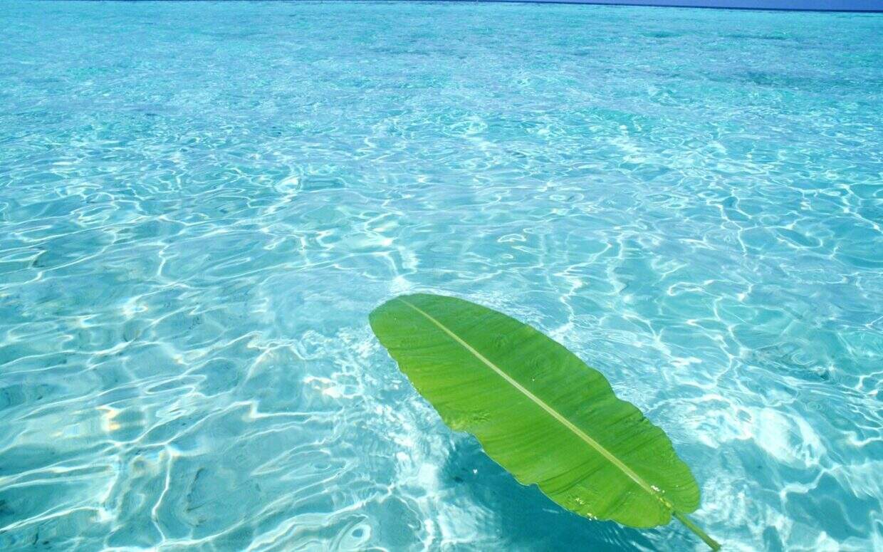 Sea HD Wallpapers High Resolution - PixelsTalk
