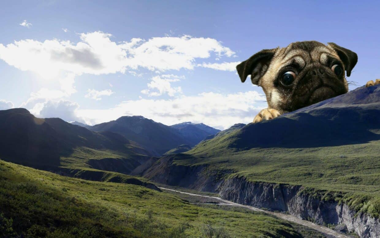 Cute Landscape Wallpapers HD for Desktop - PixelsTalk