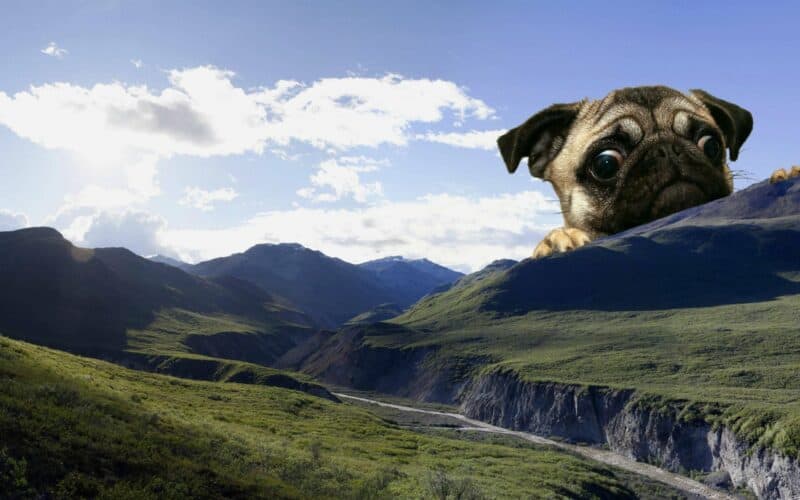 Cute Landscape Wallpapers HD for Desktop - PixelsTalk