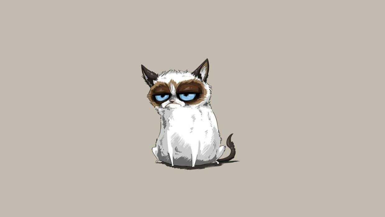 Grumpy Cat HD Wallpapers - PixelsTalk