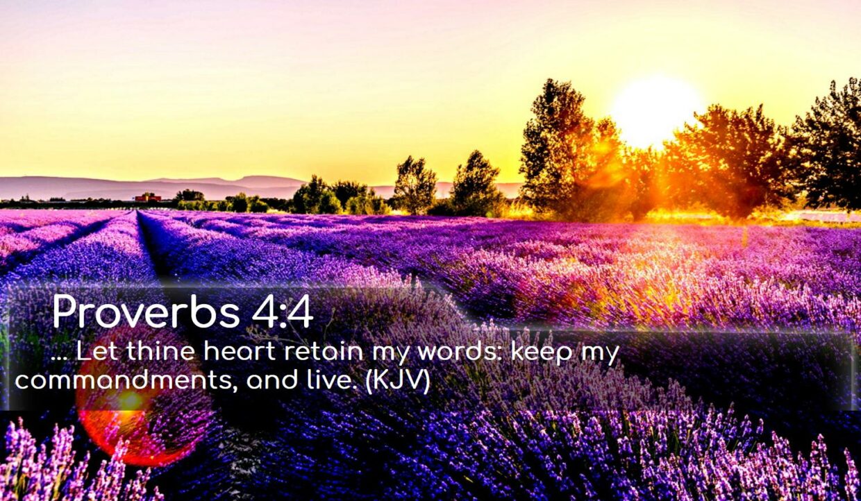 Bible Verse HD Wallpapers High Quality - PixelsTalk