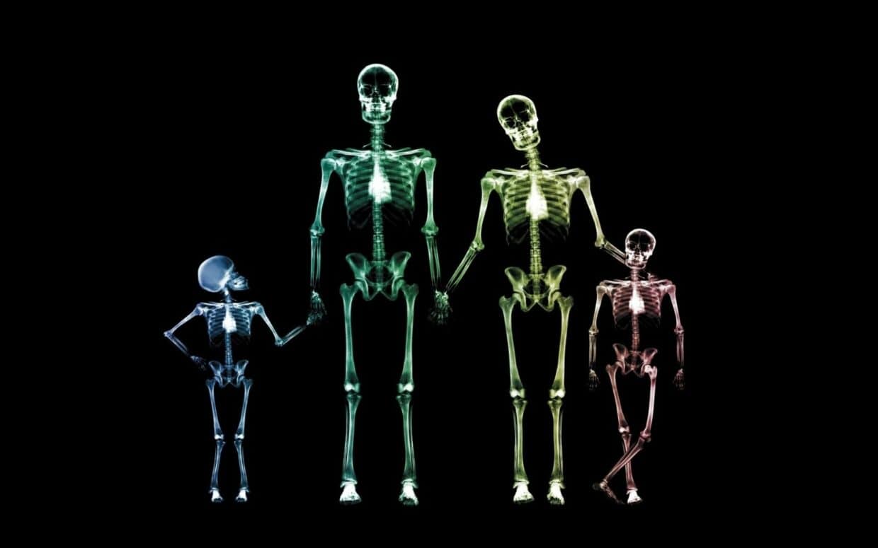 Skeleton Wallpapers HD - PixelsTalk