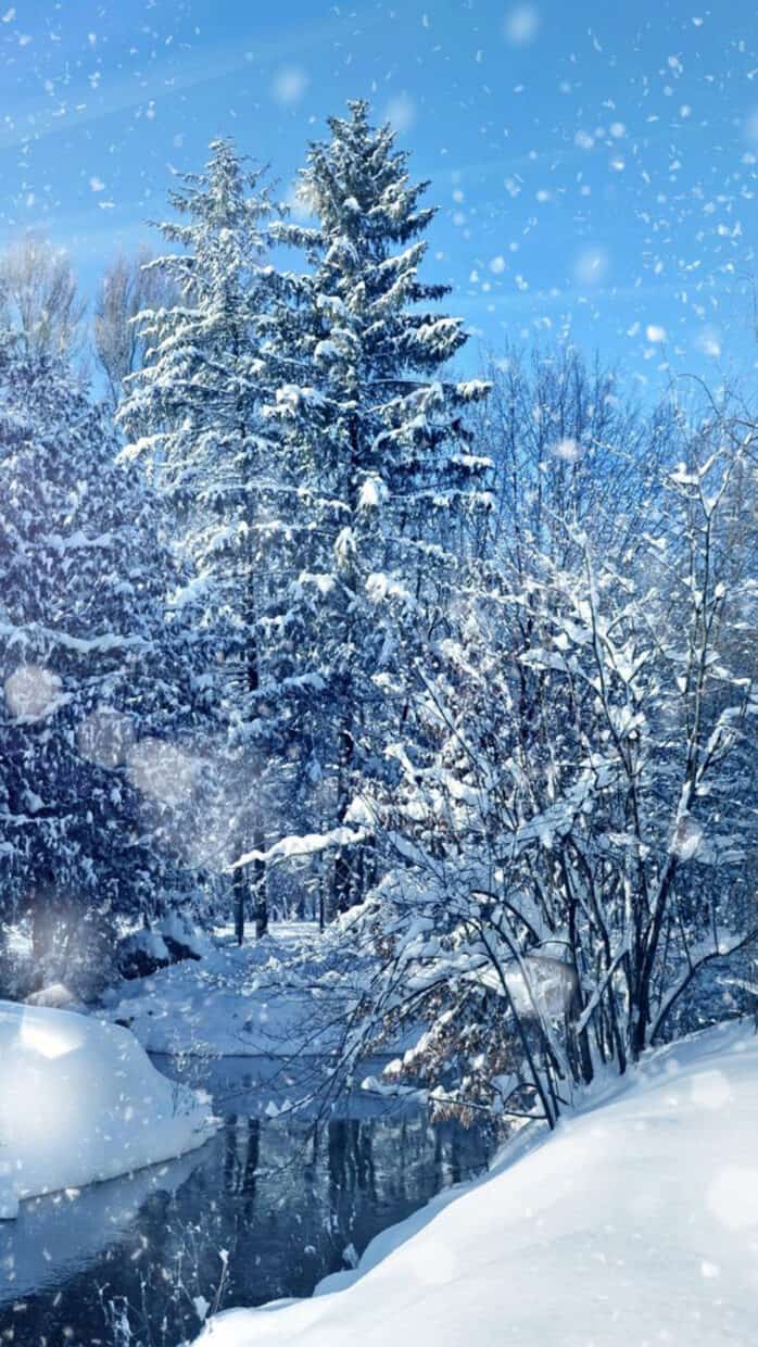 Winter iPhone Wallpaper - PixelsTalk