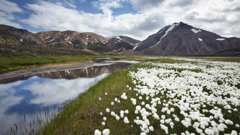 Iceland Wallpapers HD High Quality for Desktop - PixelsTalk