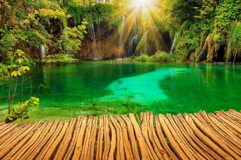 Garden HD Wallpapers - PixelsTalk