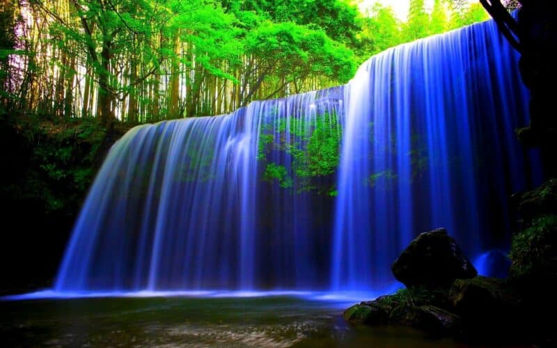 Cute Live Wallpapers HD - PixelsTalk
