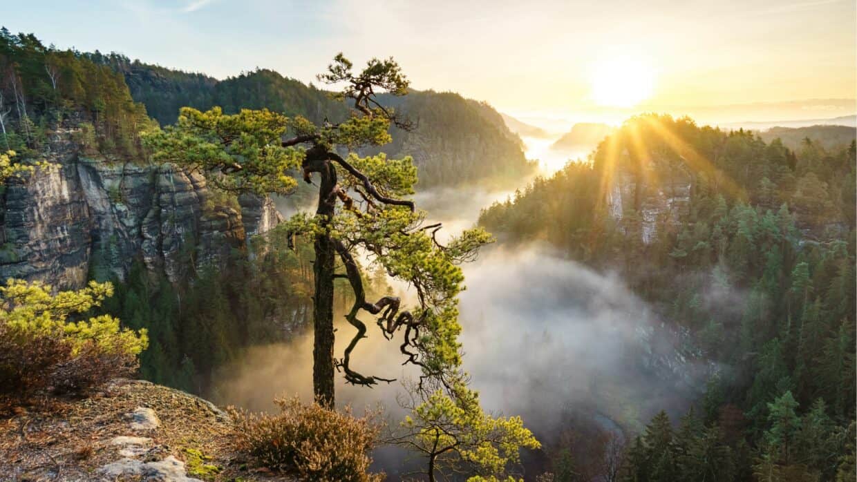 Nature Backgrounds HD - PixelsTalk