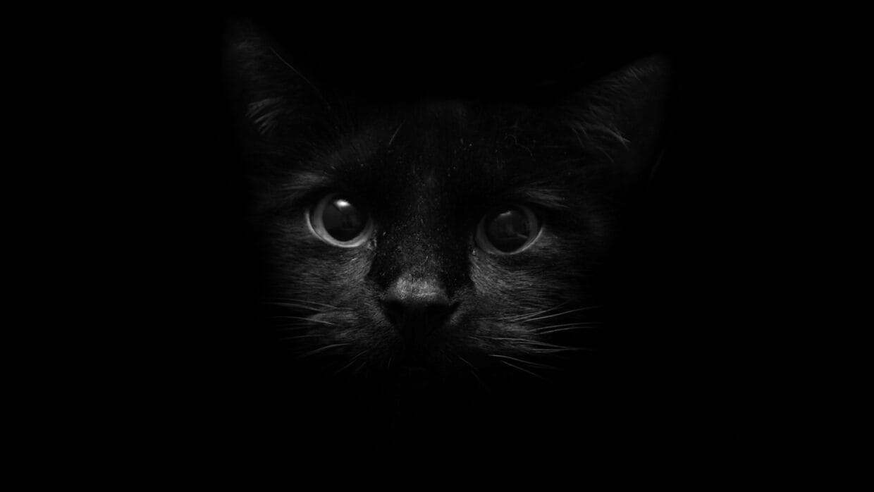 Cute Black Wallpaper HD - PixelsTalk