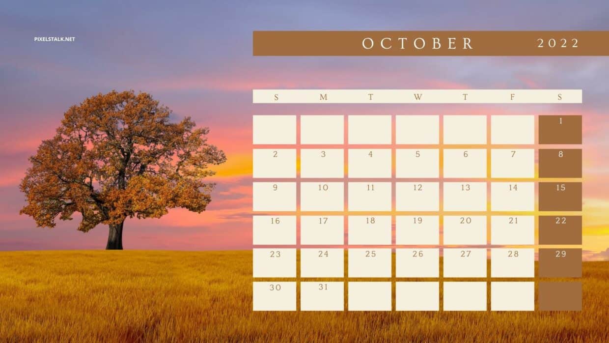 October 2022 Calendar Wallpapers HD Desktop - PixelsTalk