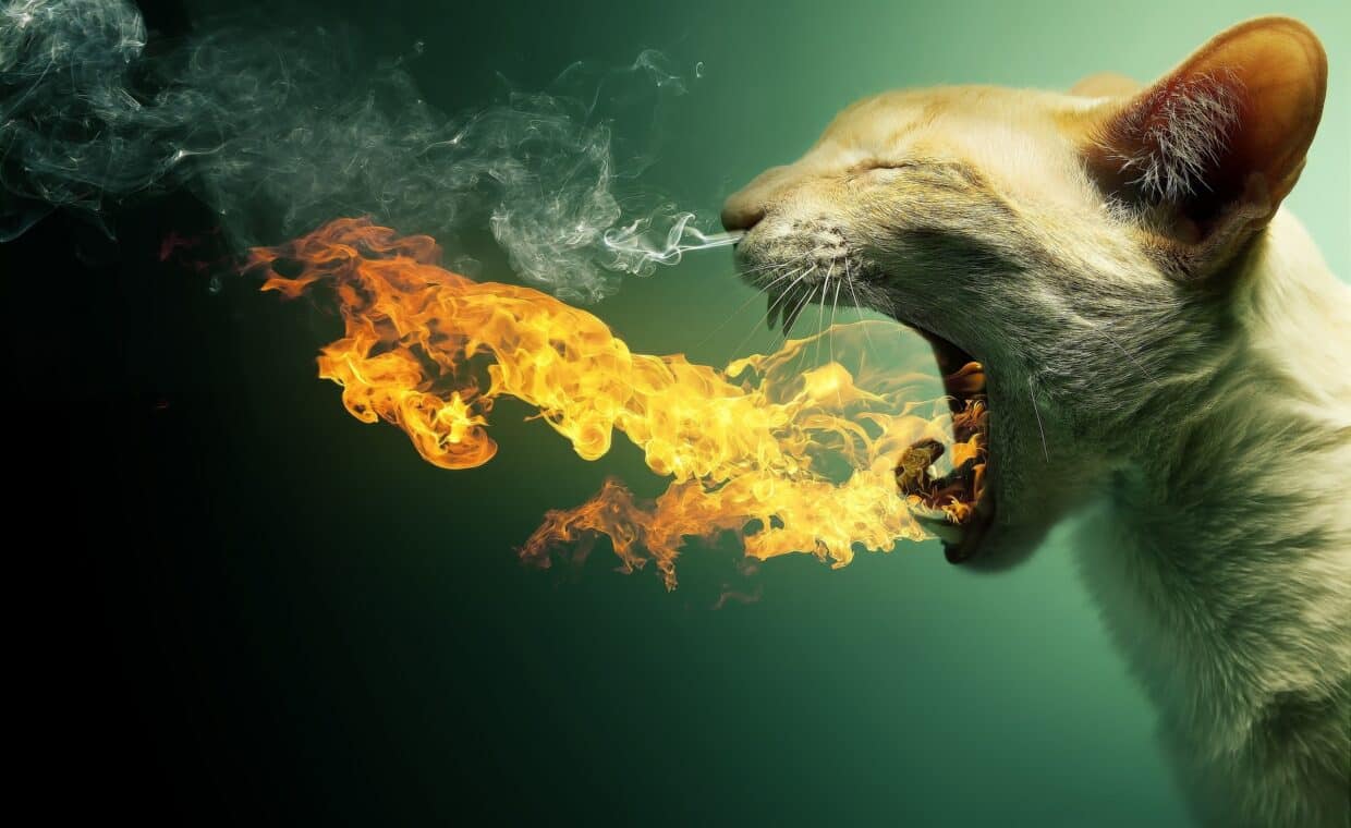 PC Wallpapers HD - PixelsTalk