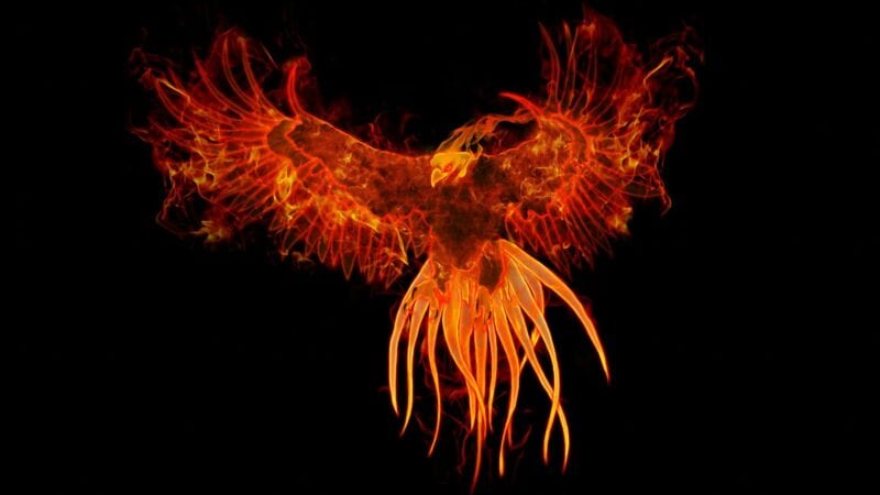 Phoenix Wallpapers HD - PixelsTalk