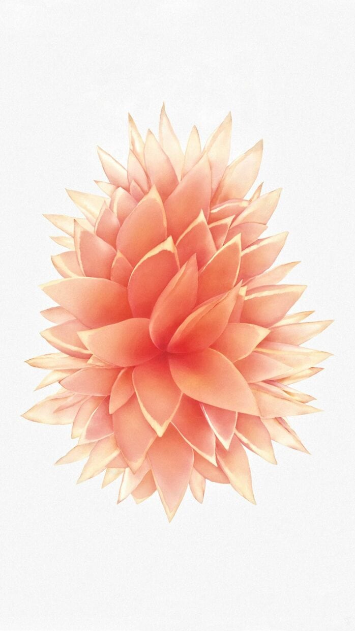 Phone Backgrounds HD - PixelsTalk
