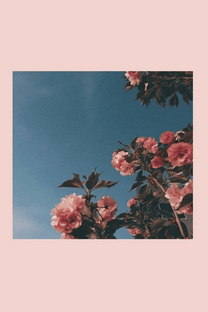 Pink Aesthetic Wallpapers High Quality - PixelsTalk