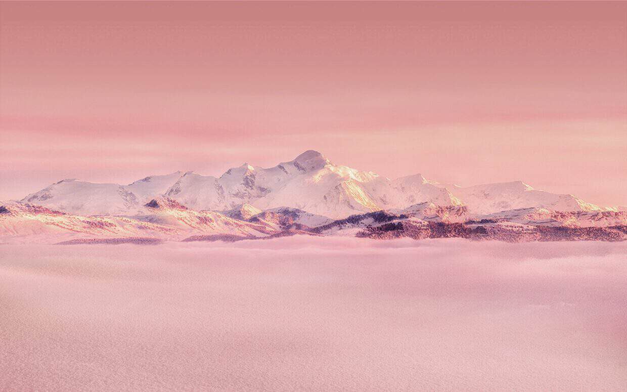 Pink Winter Wallpapers For Desktop - PixelsTalk