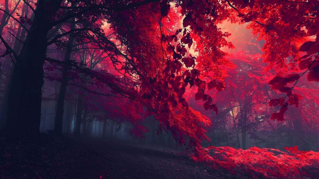 Red Wallpapers 4K - PixelsTalk