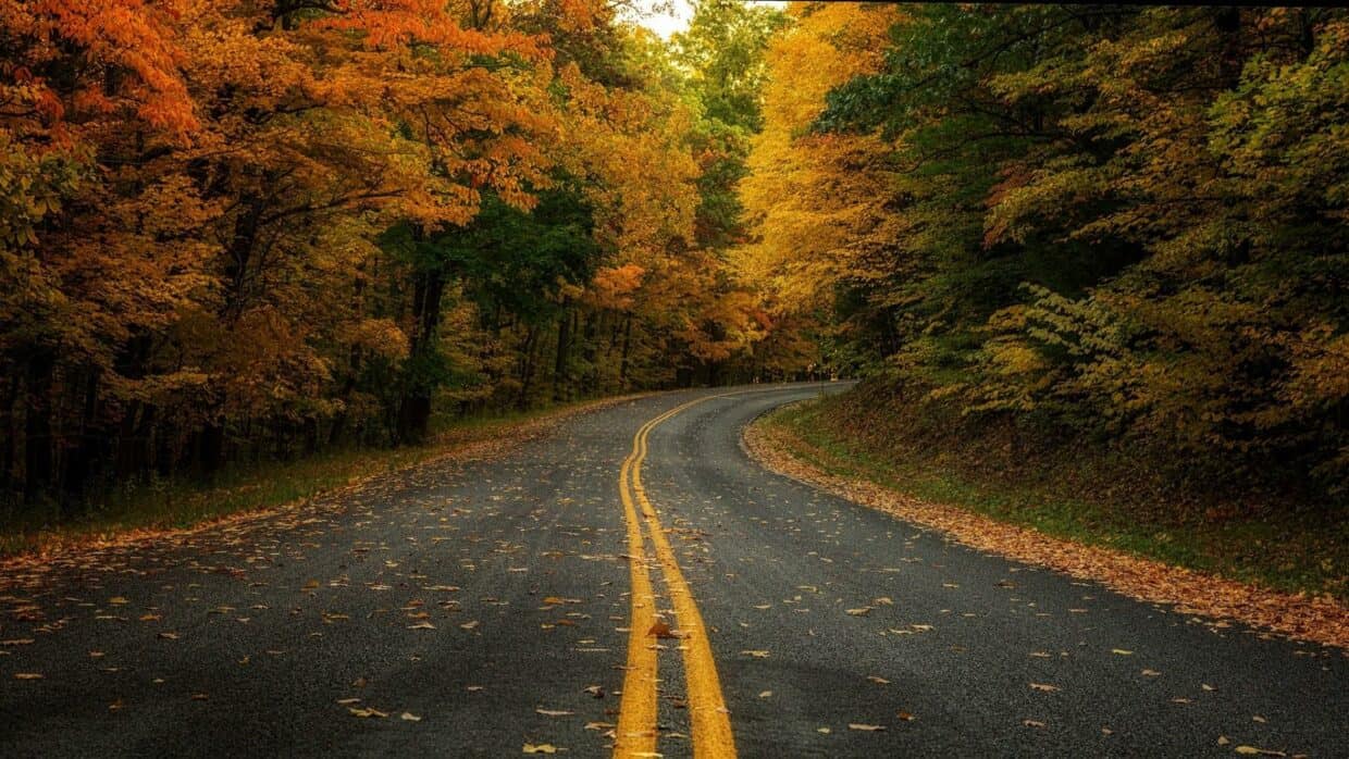 Road Wallpapers HD - PixelsTalk