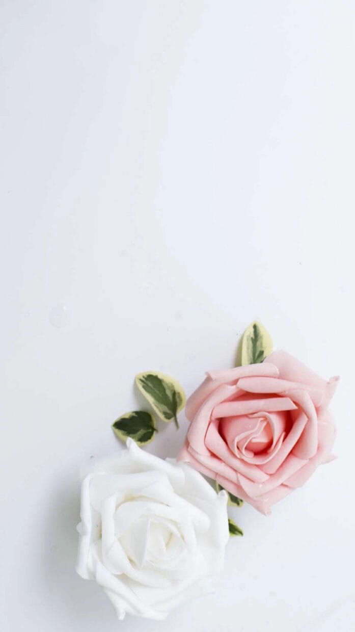 Cute White Backgrounds HD - PixelsTalk
