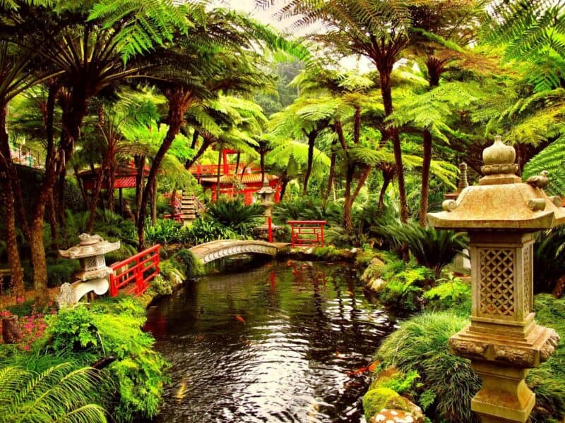Garden HD Wallpapers - PixelsTalk