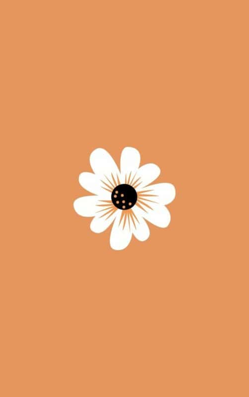 Pinterest Cute Wallpaper HD - PixelsTalk