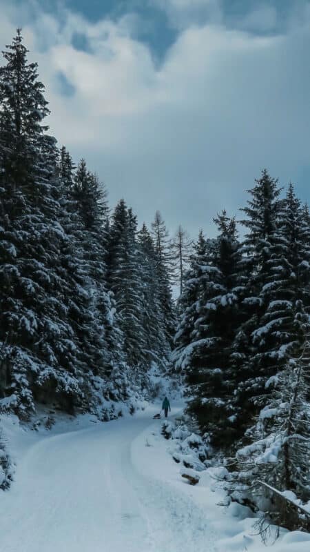 Winter iPhone Wallpaper - PixelsTalk