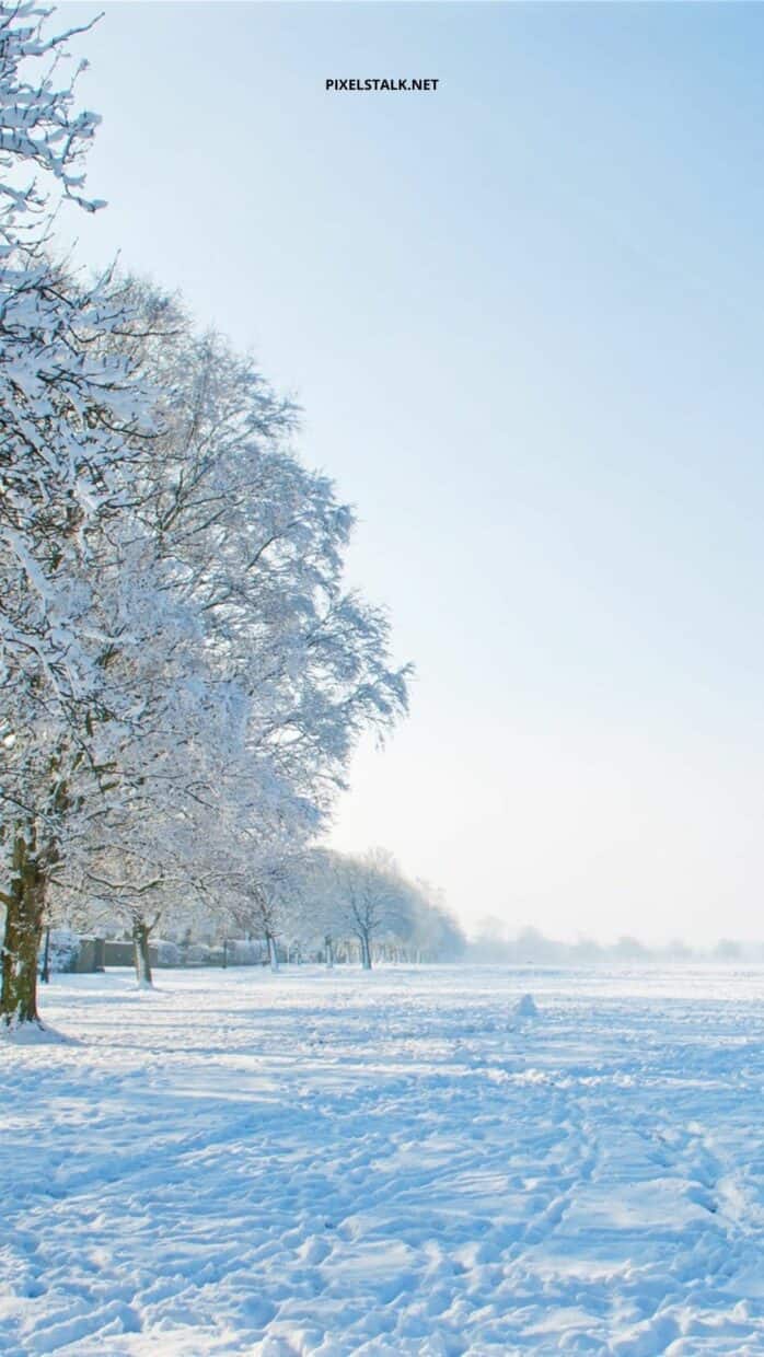 Winter iPhone Wallpaper - PixelsTalk