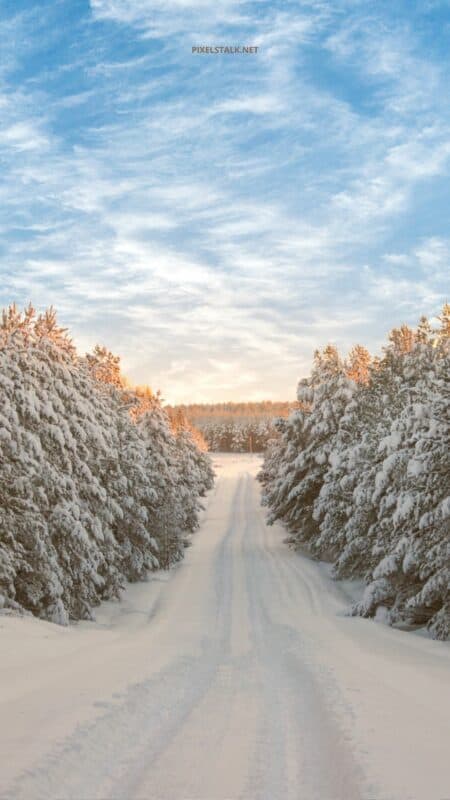 Winter iPhone Wallpaper - PixelsTalk