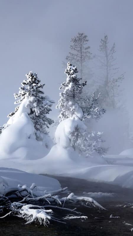 Winter iPhone Wallpaper - PixelsTalk