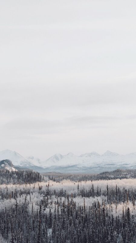 Winter iPhone Wallpaper - PixelsTalk