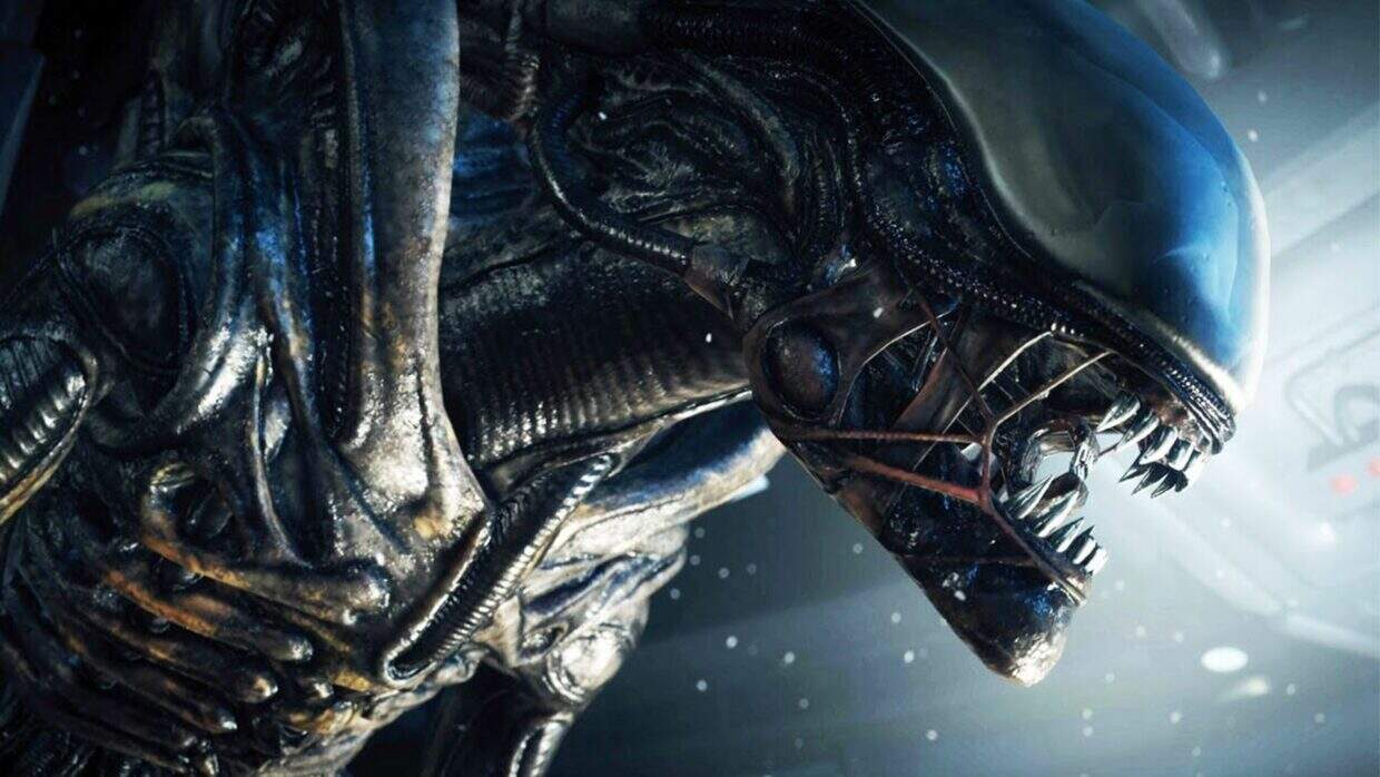 Xenomorph HD Wallpapers - PixelsTalk