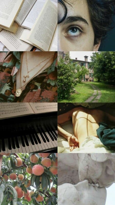 Call Me by Your Name Wallpapers HD - PixelsTalk