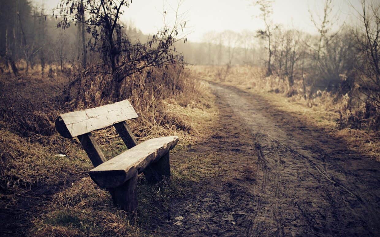 Lonely Wallpapers HD High Resolution - PixelsTalk
