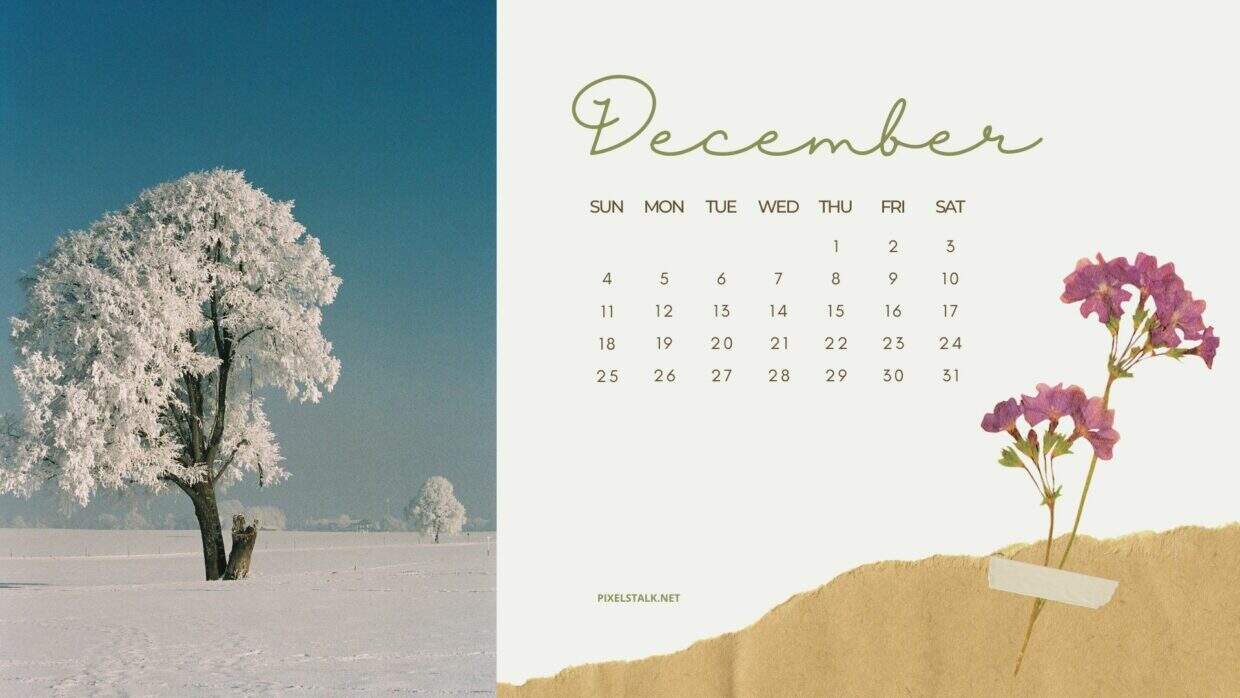 December 2022 Calendar Backgrounds HD - PixelsTalk