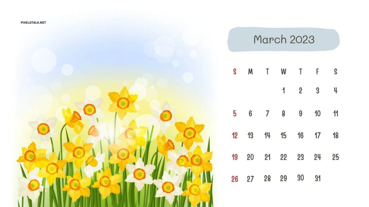 March 2023 Calendar Background for Desktop - PixelsTalk