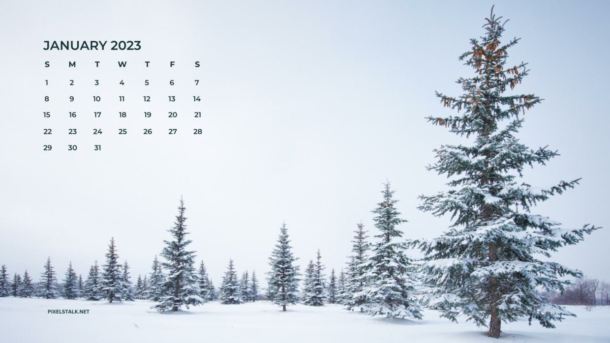 January Calendar 2023 Desktop Backgrounds HD - PixelsTalk