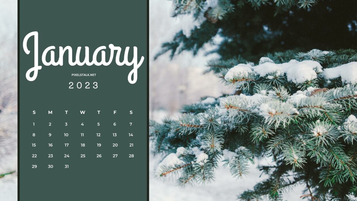January Calendar 2023 Desktop Backgrounds HD - PixelsTalk