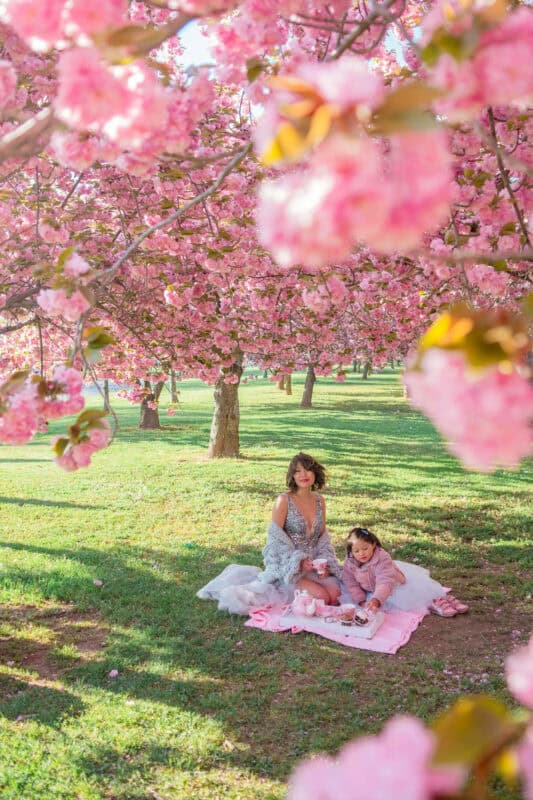 Aesthetic Spring Wallpapers - PixelsTalk