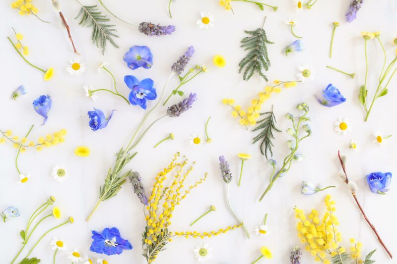 Aesthetic Spring Desktop Wallpapers - PixelsTalk