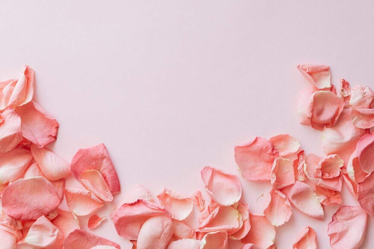 Pink Desktop Backgrounds - PixelsTalk