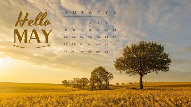 May 2024 Calendar Desktop Wallpapers - PixelsTalk