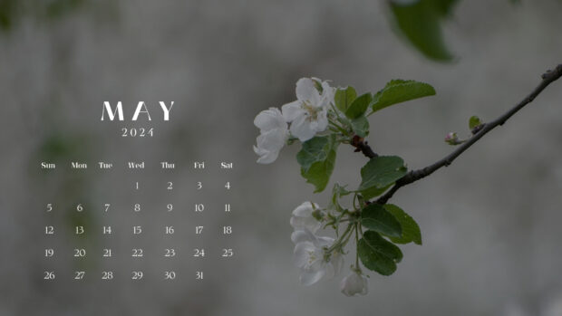 May 2024 Calendar Desktop Wallpapers - PixelsTalk