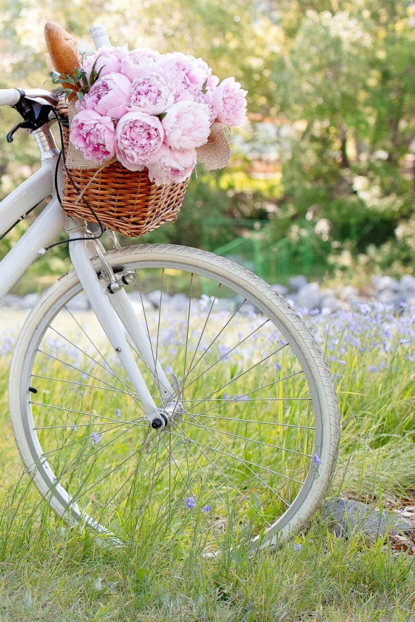 Aesthetic Spring Wallpapers - PixelsTalk